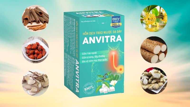 Dạ dày Anvitra màu xanh - Giải pháp cho bệnh trào ngược dạ dày - thực ...
