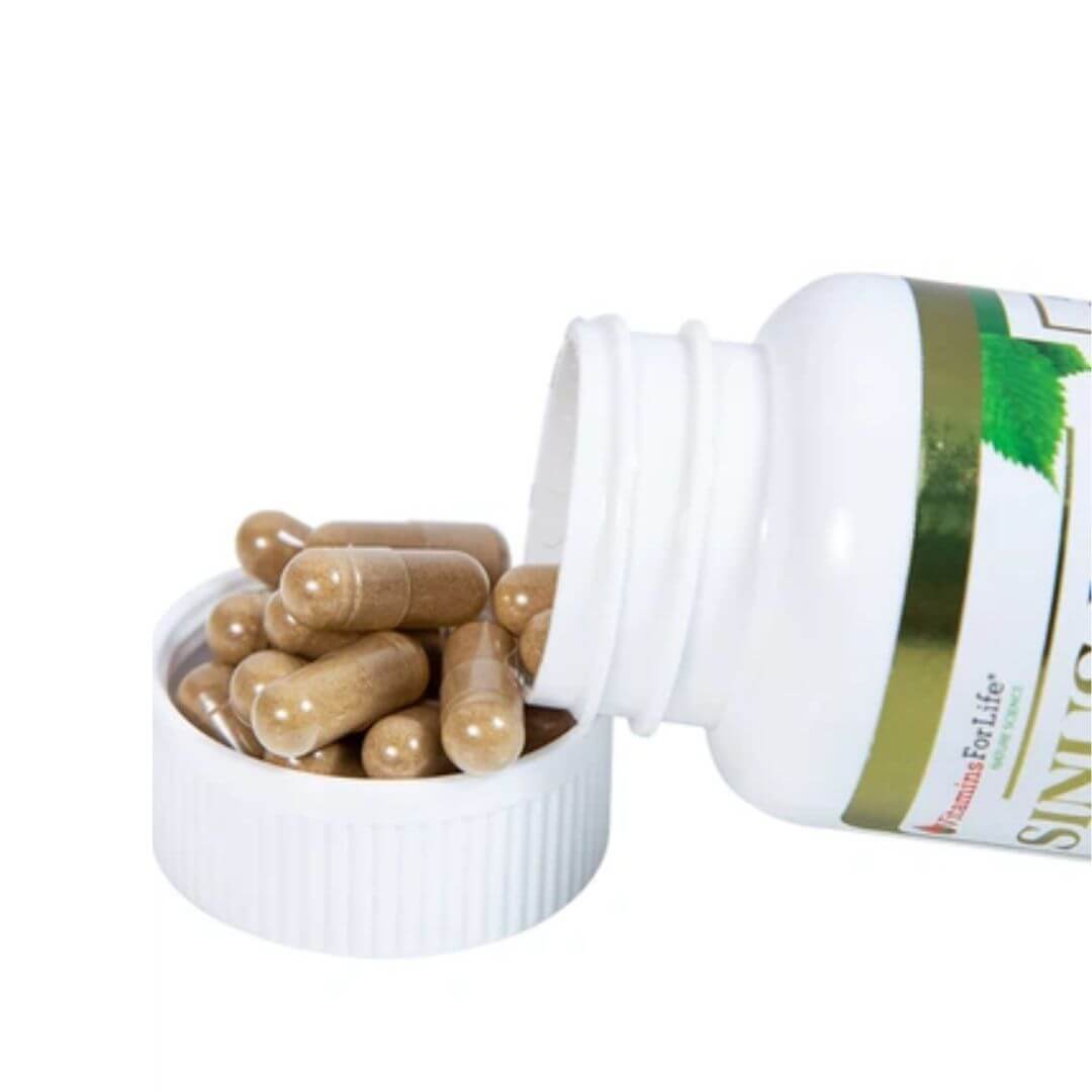 Sinus Nose (30 viên) – Hỗ trợ sức khỏe đường hô hấp - Pharmart.vn