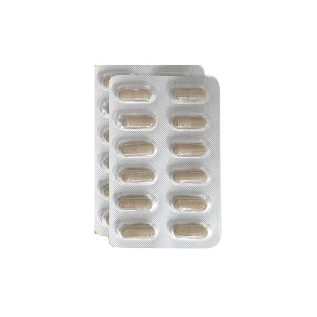 The Fucoidan XK - Phục hồi hệ miễn dịch sau xạ trị - Pharmart.vn