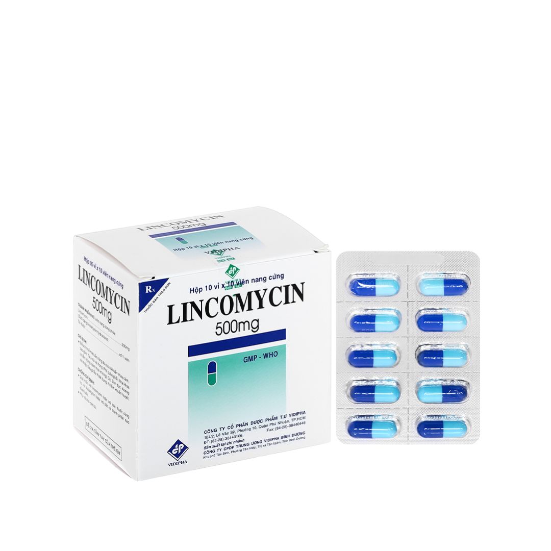 Thuốc Lincomycin (500mg) Vidipha - Điều trị nhiễm khuẩn - Pharmart.vn